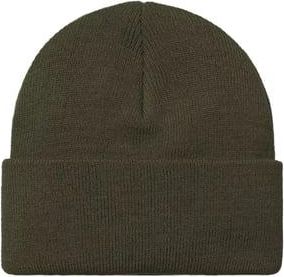 Carhartt Work in Progress Verfolgungskappe in geripptem Netz - grün