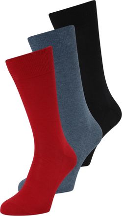 Falke Family 3-Pack