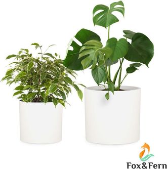 Blumfeldt Blumfeldt - Pot de fleurs Gendt cache-pot lot de 2 tailles l/xl ciment fibre de verre int&eacute;rieur / ext&eacute;rieur