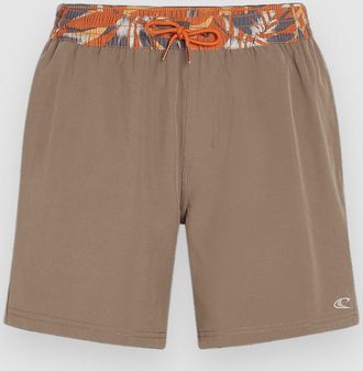 O'Neill Pocket Print 16 Boardshorts pure cashmere