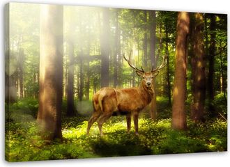 Feeby Bilder Hirsch Wald XXL 80x60 cm 1 Teilig Wohnzimmer Schlafzimmer Büro Flur Küche Wandbilder Leinwandbilder Modern Bild auf Leinwand Wanddekoration Kun
