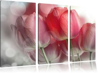 Pixxprint Wunderschöne Tulpen, Leinwandbild 3 Teilig, Gesamtmaß: 120x80cm, Wandbild, Dekoration, fertig gespannt, Kein Poster