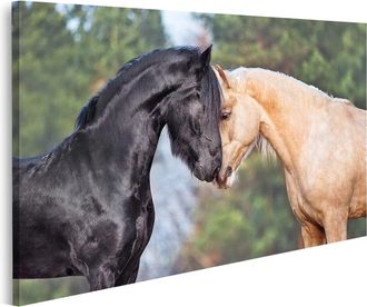 Islandburner Bild auf Leinwand Pferde küssen Nacht Pferd schwarzer Fries für Kinderzimmer Bilder Wandbilder Poster AWIH-1K