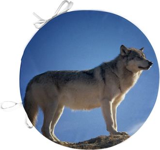 Fabulous Stuhlkissen, rund, Wolf, Foto, Natur, Wildtiere, Himmel, blau, 40 cm - Stuhlkissen
