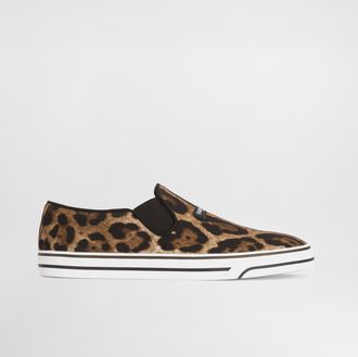 Dolce & Gabbana Sneaker Dg Sailing Aus Canvas Mit Leo-print - Mann Sneakers Animalprint 41.5