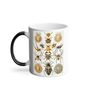 Fabulous Thermoreagierende Tasse Magische Tasse - Spinne Insekten Gravur alte Zeichnung Biologie - 325 ml