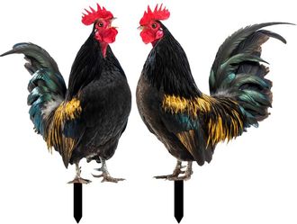 Yardwe 2 St&uuml;cke Gartenstecker Gartenfiguren Hahn Huhn Figur Gartendeko Tiere Stecker Dekofigur Garten Statue Skulptur Acryl Zaunhocker Rasen Terrassen Deko H