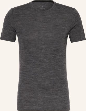 Icebreaker Funktionswäsche-Shirt Anatomica Aus Merinowolle grau