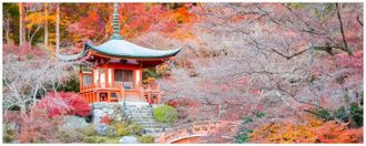 Wallario Glasbild Japanischer Herbstzauber - 50 x 125 cm Wandbilder Glas in Premium-Qualit&auml;t: Brillante Farben, freischwebende Optik