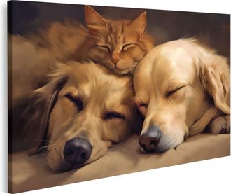Islandburner Bild auf Leinwand Hund Katze schlafen zusammen Haustiere Bilder Wandbilder Poster IZLS-1K