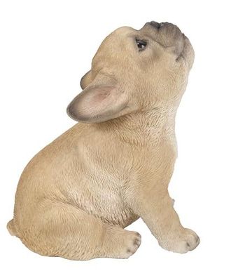 Hi-Line Gift Ltd. Französische Bulldogge Welpe heulend, 16,3 cm hoch, Braun