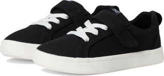 Toms Damen Sneaker - Stil & Funktionalit&auml;t, Elastische Schn&uuml;rsenkel, Ganzt&auml;giger Komfort mit CloudBound-Schaum, Robuste TPR-Laufsohlen, Perfekt f&uuml;r Alltag 