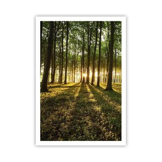 Arttor Poster ohne Rahmen Deko 70x100cm Wald gr&uuml;n Sonnenstrahlen Natur Wandposter Art Prints Wanddeko Bild Wand Kunstdruck Wandbilder Dekoration Wohnzimmer S