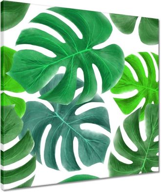 Generic Gemälde auf Leinwand gedruckt Wandkunst Dekor 50x50cm Monstera Blätter Nr. H5336M_PC1K