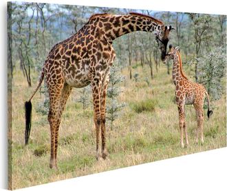 Islandburner Bild auf Leinwand Mutter Baby Giraffe Natur Bilder Wandbilder Poster