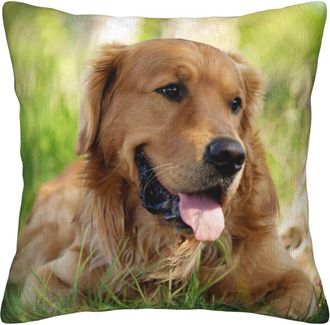 IUBBKI Quadratischer Kissenbezug, Hundekissen, Golden Retriever, 45 cm x 45 cm mit unsichtbarem Reißverschluss, dekoratives Kissen für Bett, Sofa (nur Kissen