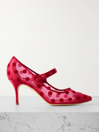 Manolo Blahnik Campari 70 Mary-jane-pumps Aus Mesh Mit Ripsbandbesätzen And Flockprint - Rot