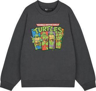 Teenage Mutant Ninja Turtles Retro Sweatshirt
