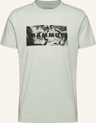 Mammut Mammut T-Shirt Trovat grau