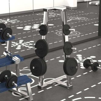 vidaXL Hantelscheibe 20 kg Gusseisen Vidaxl