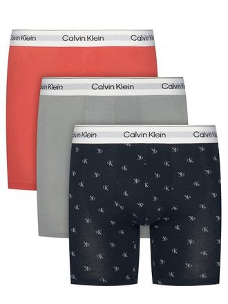 Calvin Klein Underwear Boxershorts-Set LV00NB4394 Bunt
