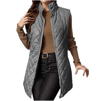 Generic Veste dautomne matelass&eacute;e pour femme - Veste matelass&eacute;e longue &agrave; la mode sans manches - Fermeture &eacute;clair - L&eacute;ger - Chaud - &Eacute;pais - Manteau, J06-gris, 