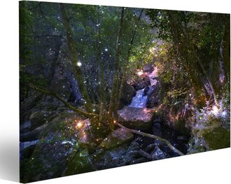 Islandburner Prime Bild auf Leinwand Zauberwald Glühwürmchen Magische Nacht Bilder Wandbilder Poster