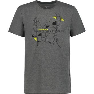 Icepeak Herren Shirt BEEVILLE