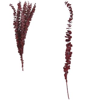 Vosteen 1x Eukalyptuszweige 70cm dunkelrot - Tischdeko Konfirmation eleganter Look & konserviert - Osterstrauch Zweige Trockenstrau&szlig;