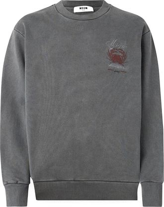 Msgm Msgm, Femme, Sweatshirts et sweats &agrave; capuche, Gris, Taille: 38 FR Felpa