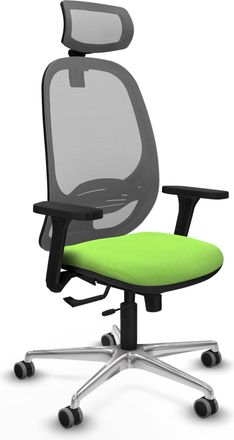 Piqueras y Crespo Stuhl f&uuml;r lange Arbeitsstunden mit 3D-Armen, h&ouml;henverstellbare Lendenwirbelst&uuml;tze und h&ouml;henverstellbares Kopfteil und Neigungsverstellung, Grau/Pistaz