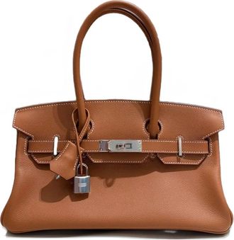 Hermès sac à main Birkin 29 Evercolor (2025) - Marron