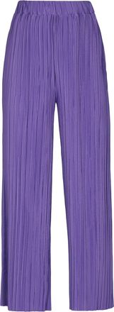 Faina Hose