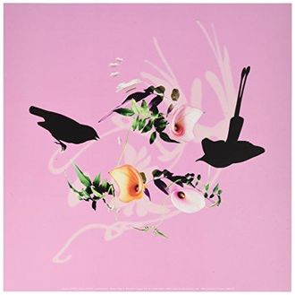 Draeger NOUVELLES IMAGES Neue imagesaffiche 30 x 30 cm Vogel Jasmin/Jasmine Bird/Jasmin Vogel