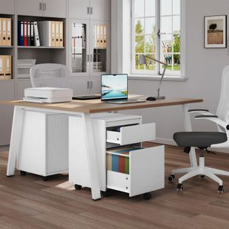 Woltu Rollcontainer, abschließbar, Aktenschrank mit 2 Schubladen und 5 Rollen, Unterschrank Schreibtisch, Druckerschrank, für Büro Homeoffice