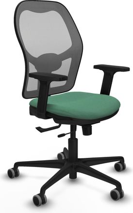 Piqueras y Crespo Jorquera Rollstuhl mit 2D-Armen, h&ouml;henverstellbare Lendenwirbelst&uuml;tze, ausgestattet mit Syncro/Traslack und injiziertem Schaumstoff, Grau/Smaragdgr&uuml;n