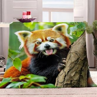 Generic Vert Couverture Panda Roux Animal Plaid Polaire 130x160 cm Adultes denfants Couverture en Flanelle Sherpa Super Douce et Chaude pour Canap&eacute; Chaise et 