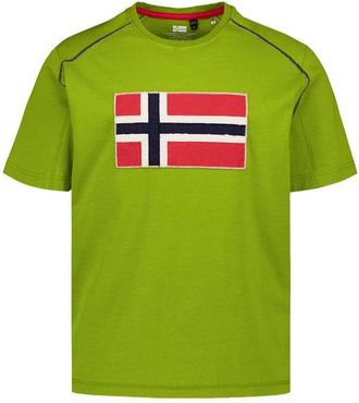 Napapijri Herren T-Shirt gr&uuml;n