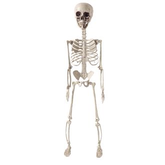 Generic Skelett Dekoration 60CM Halloween Dekoration,Faltbarer Sch&auml;del Knochen Mensch Statue Party Dekoration F&uuml;r Frauen Geburtstagsfeier