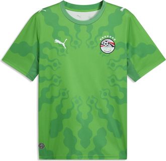 Puma Maillot de gardien de but PUMA x &Eacute;GYPTE x SALEHE BEMBURY Homme, Accessoires, Vert, 3XL