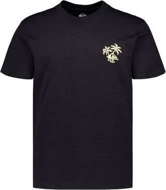 Quiksilver Herren T-Shirt