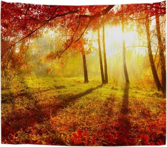 A.Monamour Wandteppiche Wanddekor Herbst Rot Waldpark Bäume Sonnenuntergang Naturlandschaft Bild Stoff Wandtuch Wandbehang Wandkunst Wandbilder für Schlafzimmer 