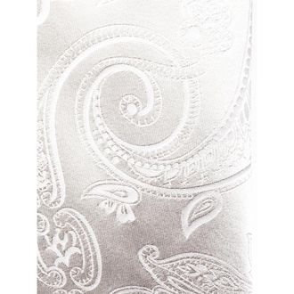 Lady Anne Silk Paisley Necktie - White
