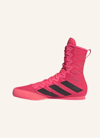 adidas Box Hog 4 Boxschuh pink