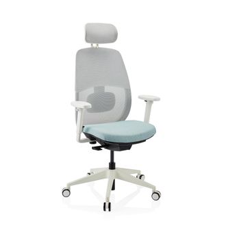 hjh OFFICE B&uuml;rostuhl Skandis Pro mit Kopfst&uuml;tze - Ergonomischer Profi-Drehstuhl mit Synchronmechanik, 3D-Netzr&uuml;ckenlehne, Lordosenst&uuml;tze & 4D-Armlehnen, Mint