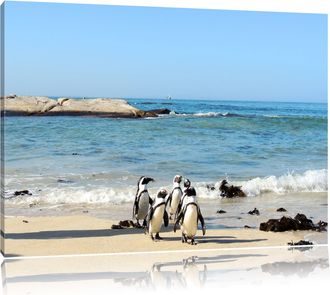 Pixxprint Pinguine am Strand, Größe: 60x40cm, Leinwandbild, fertig gespannt, Wandbild, Dekoration, Kunstdruck, kein Poster