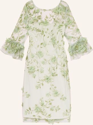 Adrianna Papell Kleid gruen