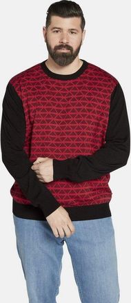 Charles Colby Rundhalspullover EARL ALAN, zweifarbig gemustert