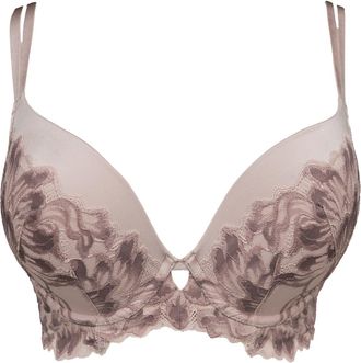 SugarShape BH Cha