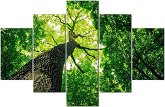 Generic Poster,5 Teilig Leinwanddrucke Leinwand St&uuml;ck Kunstdruck Modern Wand Aufh&auml;ngen Home Dekoration Moderne Gem&auml;lde Hd Panel Waldb&auml;ume Landschaft (Ungerahm